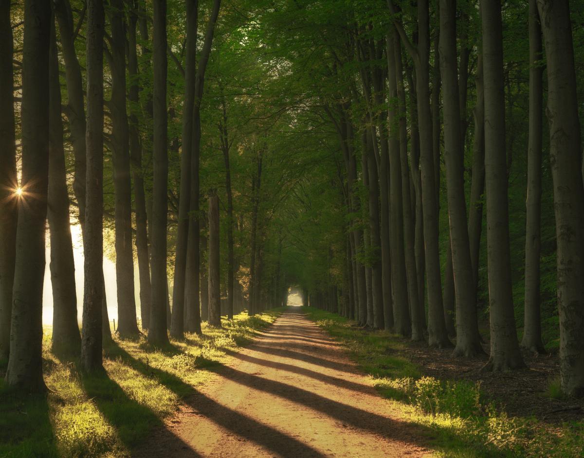 Do not be anxious about earthly things – Farmgirl Writes